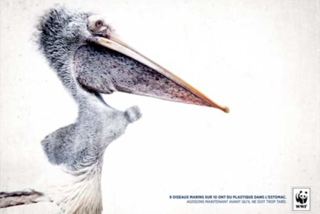 Creatives and WWF mobilize to protect the oceans with an exhibition at ...