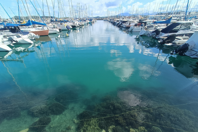 Hailers to protect against cyclones: how does it work?