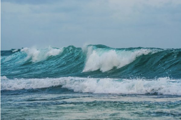 Swell or waves? What are the differences at sea, and how do you ...